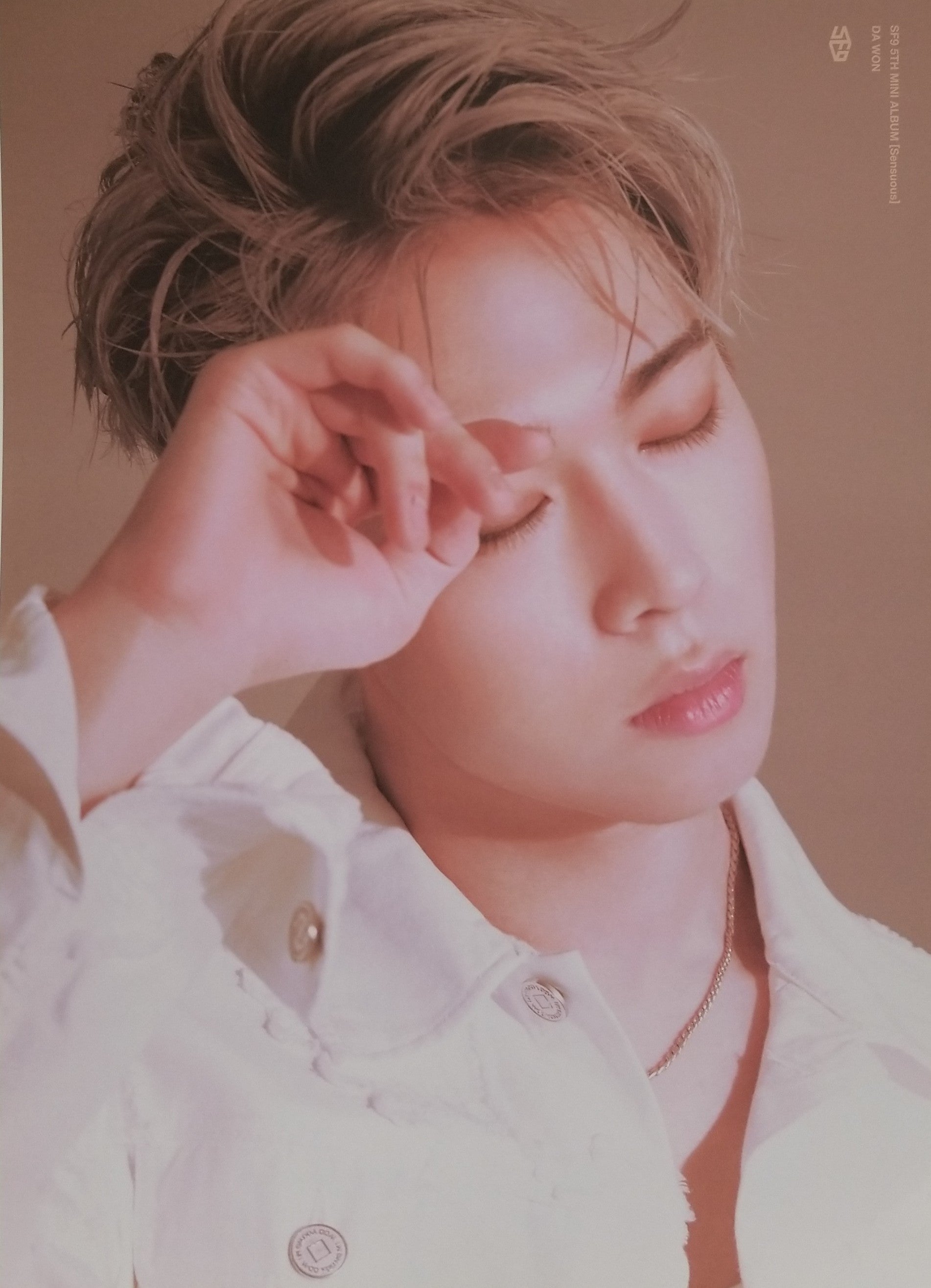 SF9 5th Mini Album Sensuous Official Poster - Photo Concept Dawon – Choice Music LA