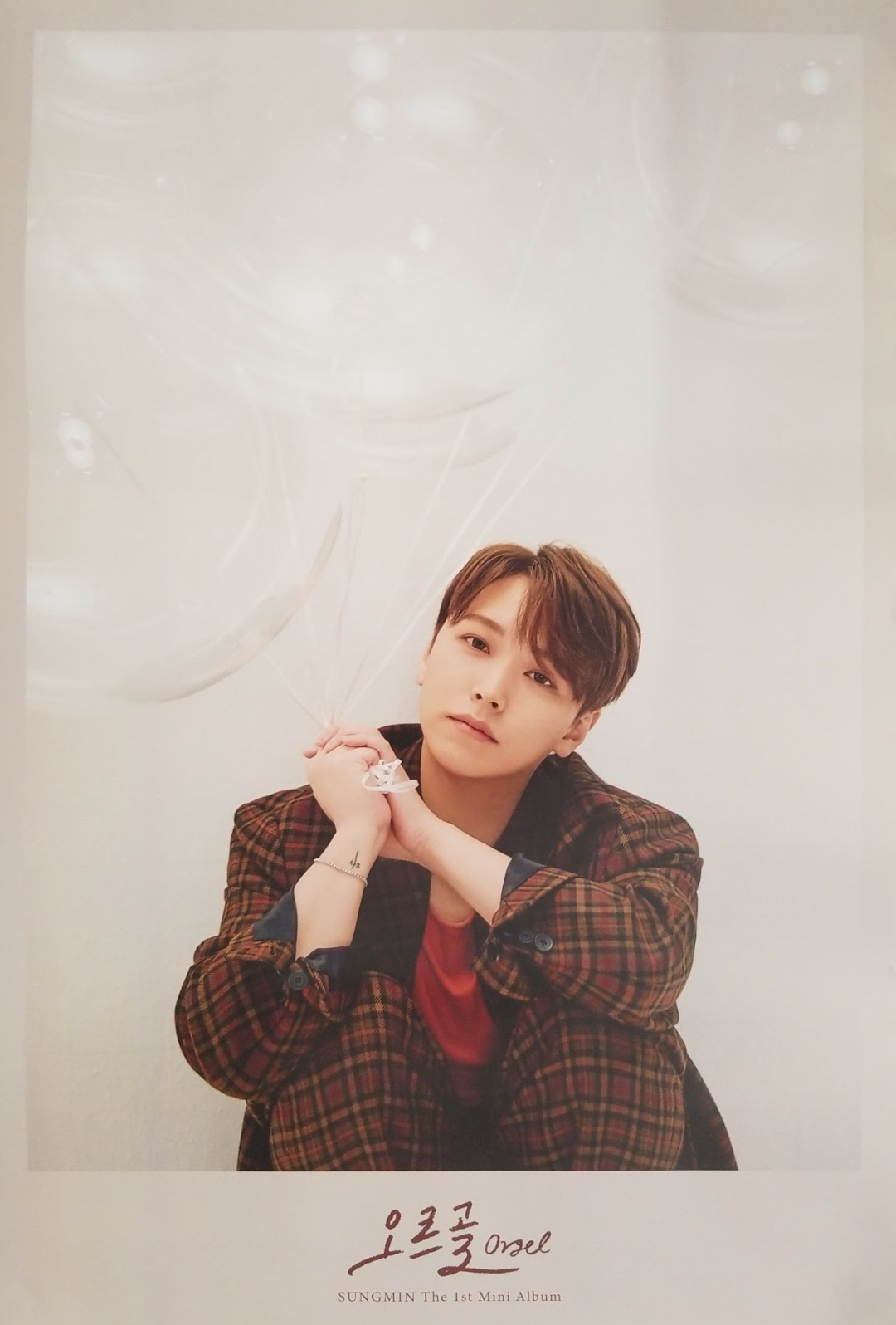 SUNGMIN 1st Mini Album - ORGEL Official Poster - Photo Concept 1 ...
