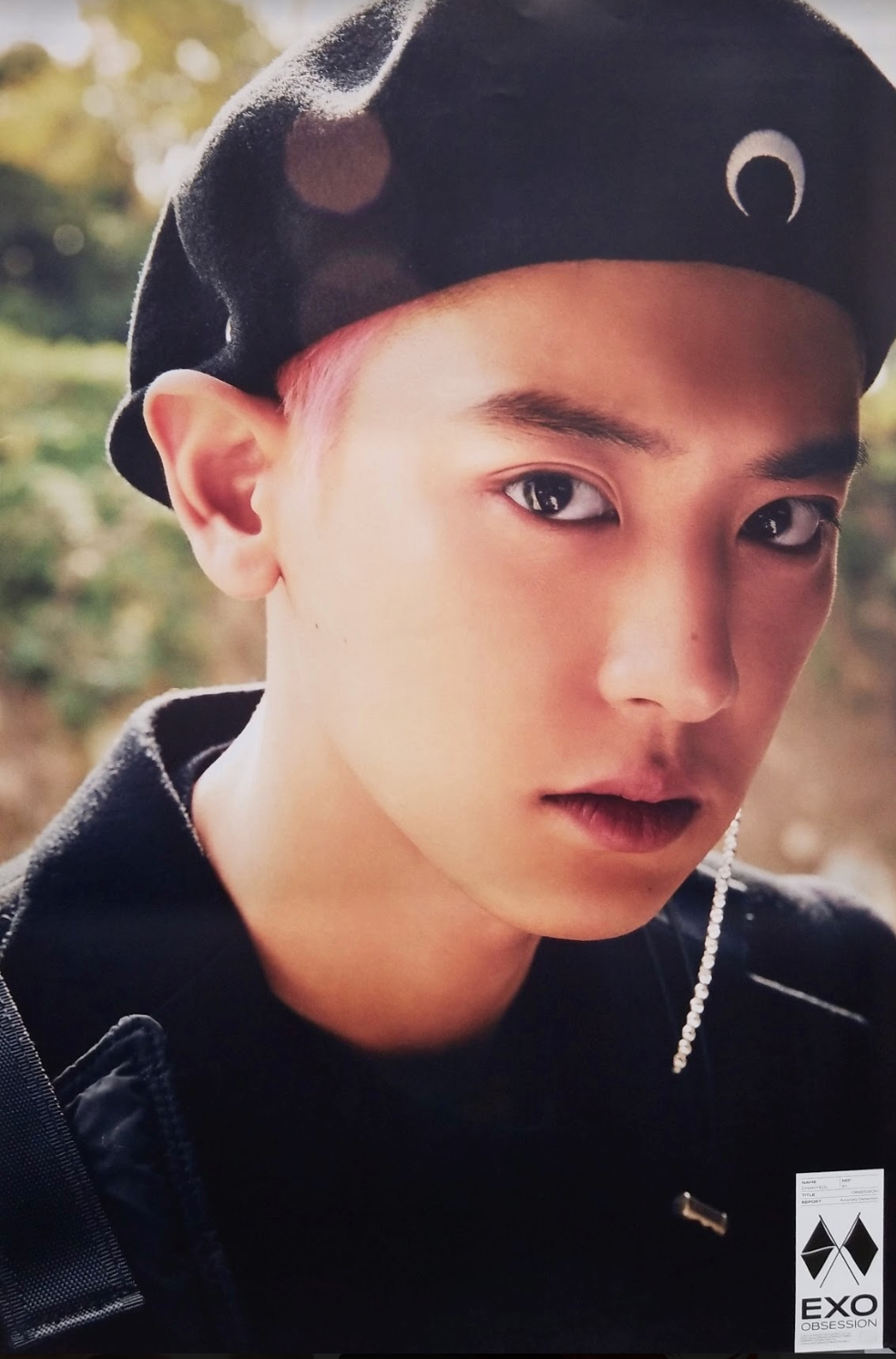 EXO 6th Album Obsession Official Poster - Photo Concept Chanyeol A ...