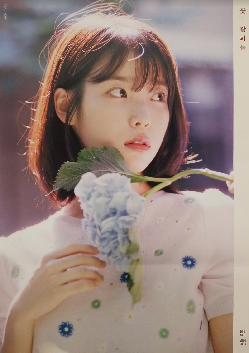 IU 2nd Remake Album Flower Mark 2 Official Poster - Photo Concept 2 ...